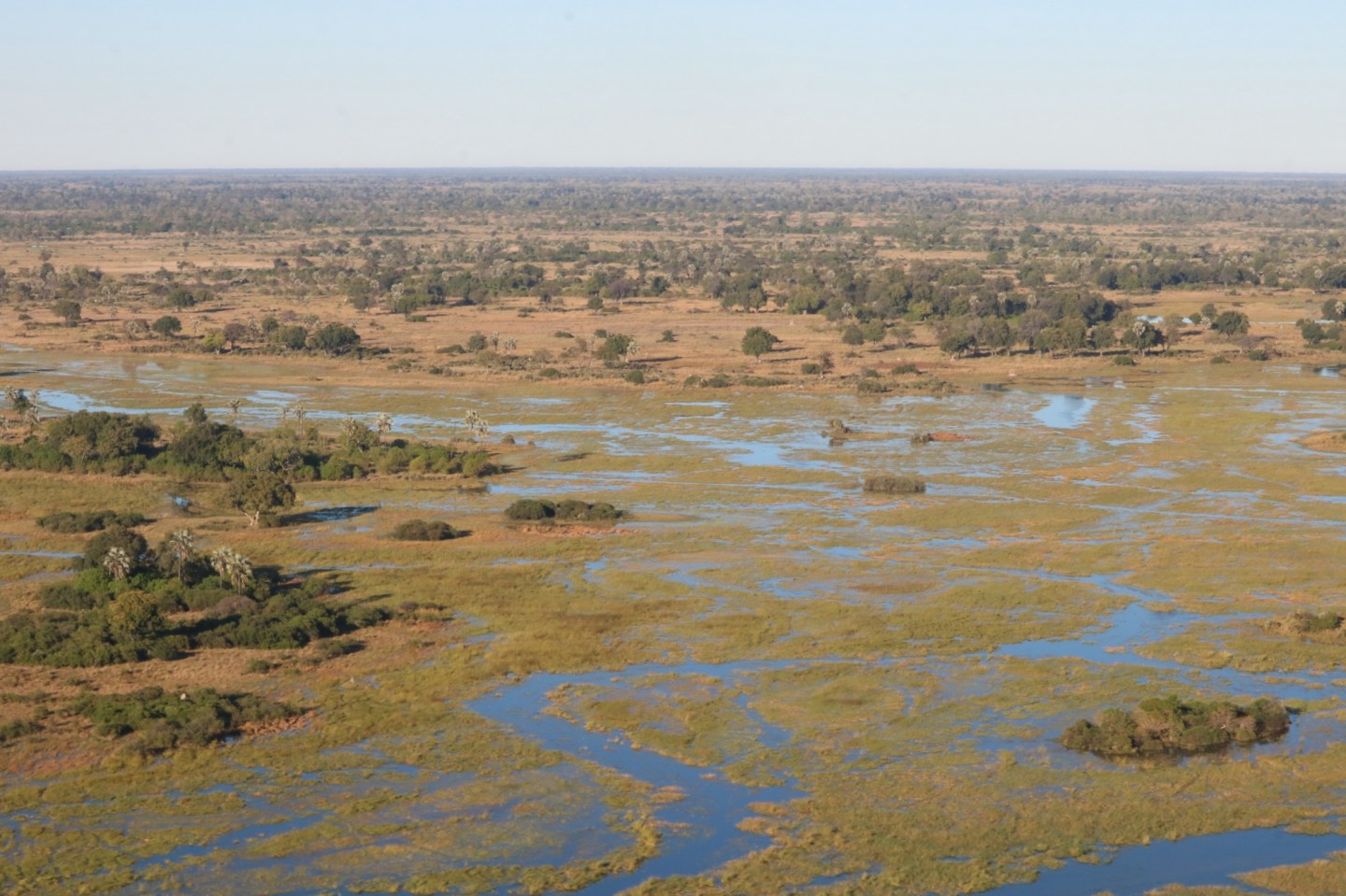 Botswana – catsgreatadventure